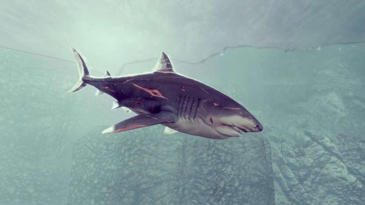 Depth - Anniversary Edition Steam Gift | Buy cheap on Kinguin.net