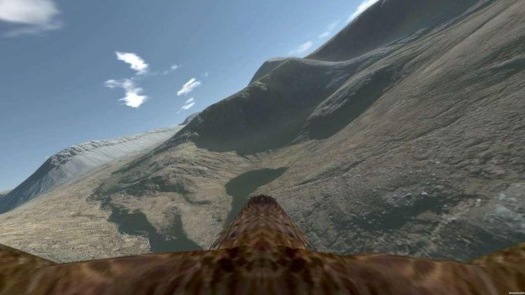 Aquila Bird Flight Simulator Steam CD Key | Buy cheap on Kinguin.net