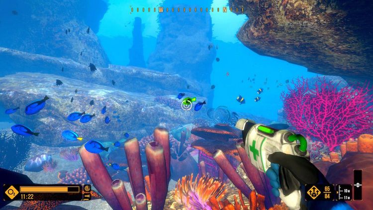 Deep Diving Adventures AR XBOX One / Xbox Series X|S CD Key | Buy cheap ...