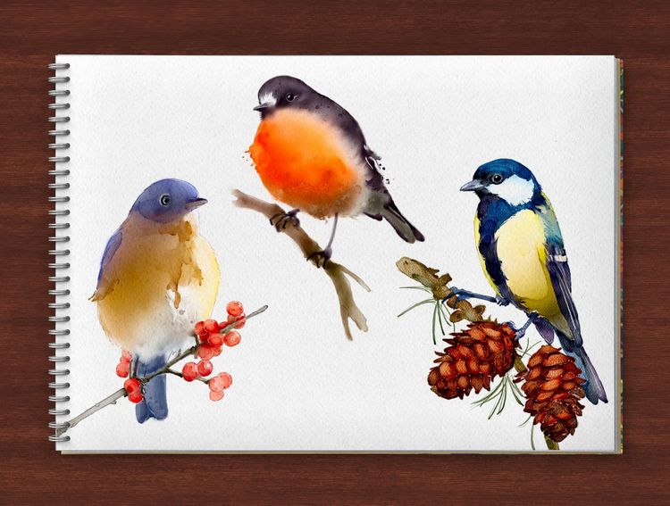 Realistic Paint Studio Key (Lifetime / 1 Device) | Buy cheap on Kinguin.net