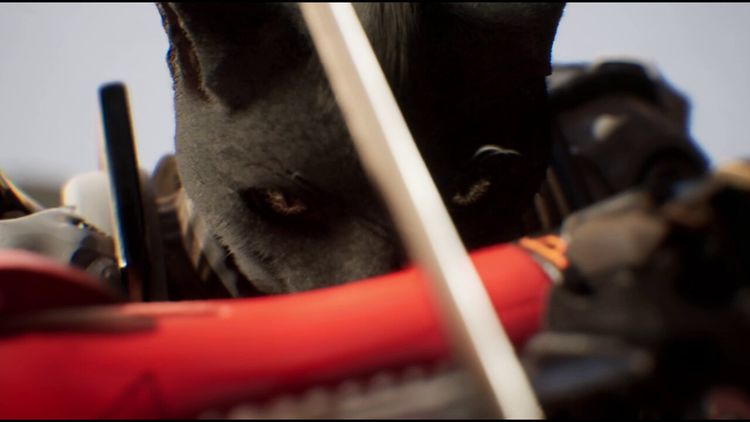 MindKatt:First Strike PC Steam CD Key | Buy cheap on Kinguin.net