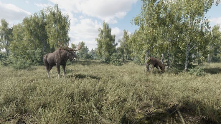 On the Hunt PC Steam CD Key | Buy cheap on Kinguin.net