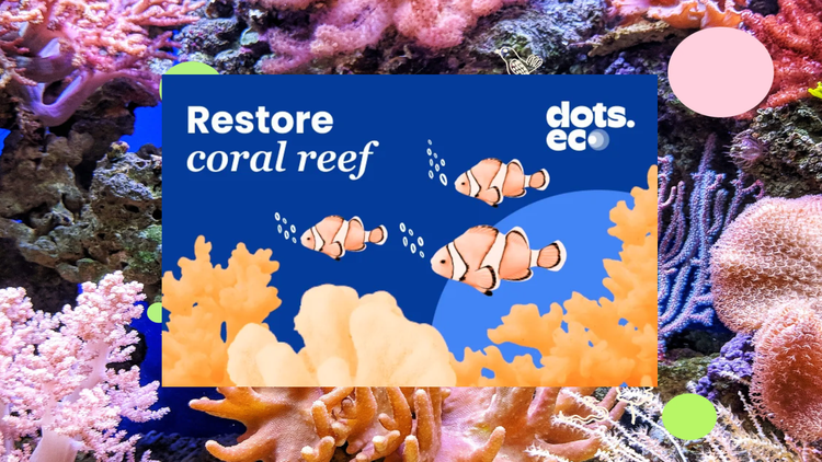 Dots.eco - Restore Coral Reef GBP 5 Gift Card UK | Buy cheap on Kinguin.net