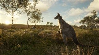 theHunter: Call of the Wild - Hunting Pro Bundle US Xbox One / Xbox ...