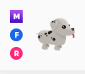 Adopt Me Items > Pet > Ultra-Rare > Dalmatian > MFR | Buy cheap on ...