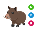Adopt Me Items > Pet > Uncommon > Wild Boar > NFR | Buy cheap on ...