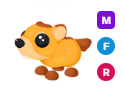 Adopt Me Items > Pet > Ultra-Rare > Groundhog > MFR | Buy cheap on ...