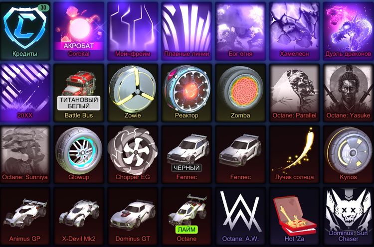 Rocket League Accounts > Global > PC > LvL200+ > UnRanked > RL165 ...