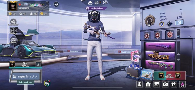 PUBG Mobile Accounts > Android > Gold > 100+ > 20+ > PGM326 Brigade ...