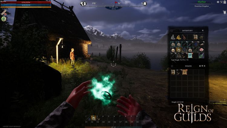 Reign of Guilds PC Steam CD Key | Buy cheap on Kinguin.net