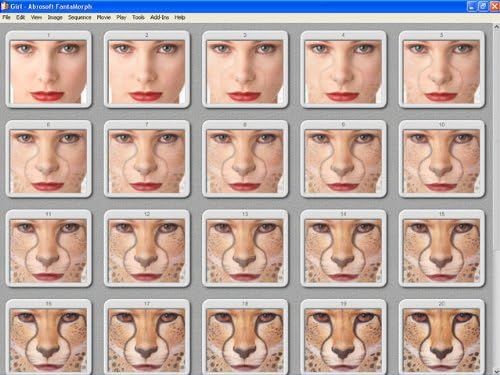 Abrosoft FantaMorph 5 - Deluxe Photo Morphing PC CD Key | Buy cheap on ...