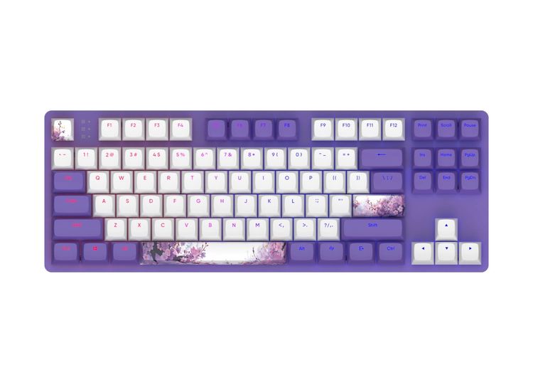 Dark Project One - 87 Violet Horizons RGB ANSI Keyboard EU Prismyx ...