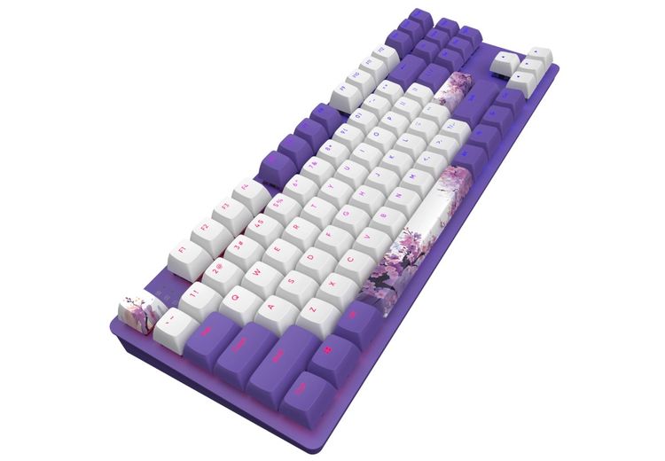 Dark Project One - 87 Violet Horizons RGB ANSI Keyboard EU Prismyx ...
