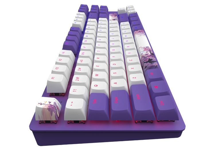 Dark Project One - 87 Violet Horizons RGB ANSI Keyboard EU Prismyx ...