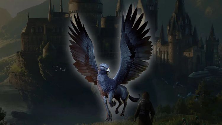 Hogwarts Legacy - Onyx Hippogriff Mount DLC XBOX One CD Key | Buy cheap ...