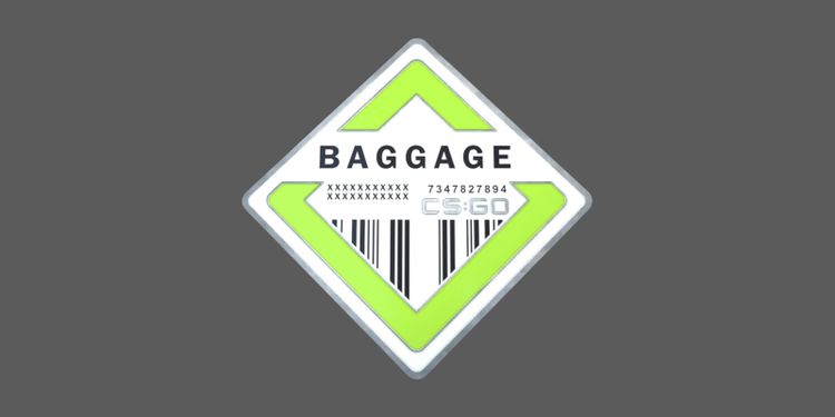 CS:GO - Series 2 - Baggage Collectible Pin | Buy cheap on Kinguin.net