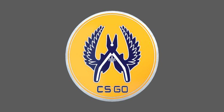 CS:GO - Series 2 - Guardian 2 Collectible Pin | Buy cheap on Kinguin.net