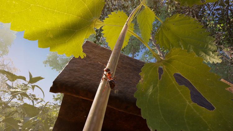 Empire of the Ants AU Xbox Series X|S CD Key | Buy cheap on Kinguin.net