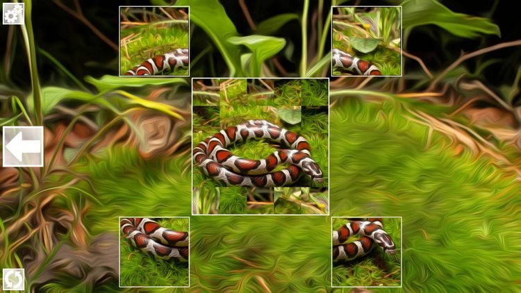 Puzzle Art: Snakes PC Steam CD Key | Buy cheap on Kinguin.net