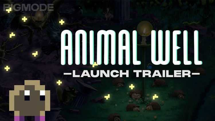 ANIMAL WELL PC Steam CD Key | Buy cheap on Kinguin.net